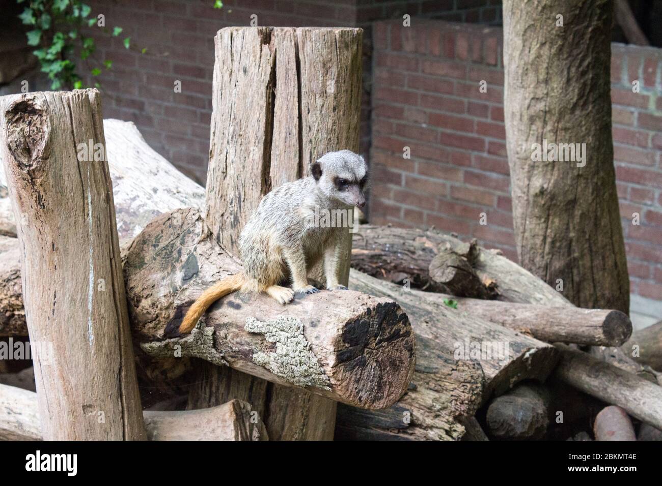 Enclosuredesign hi-res stock photography and images - Alamy