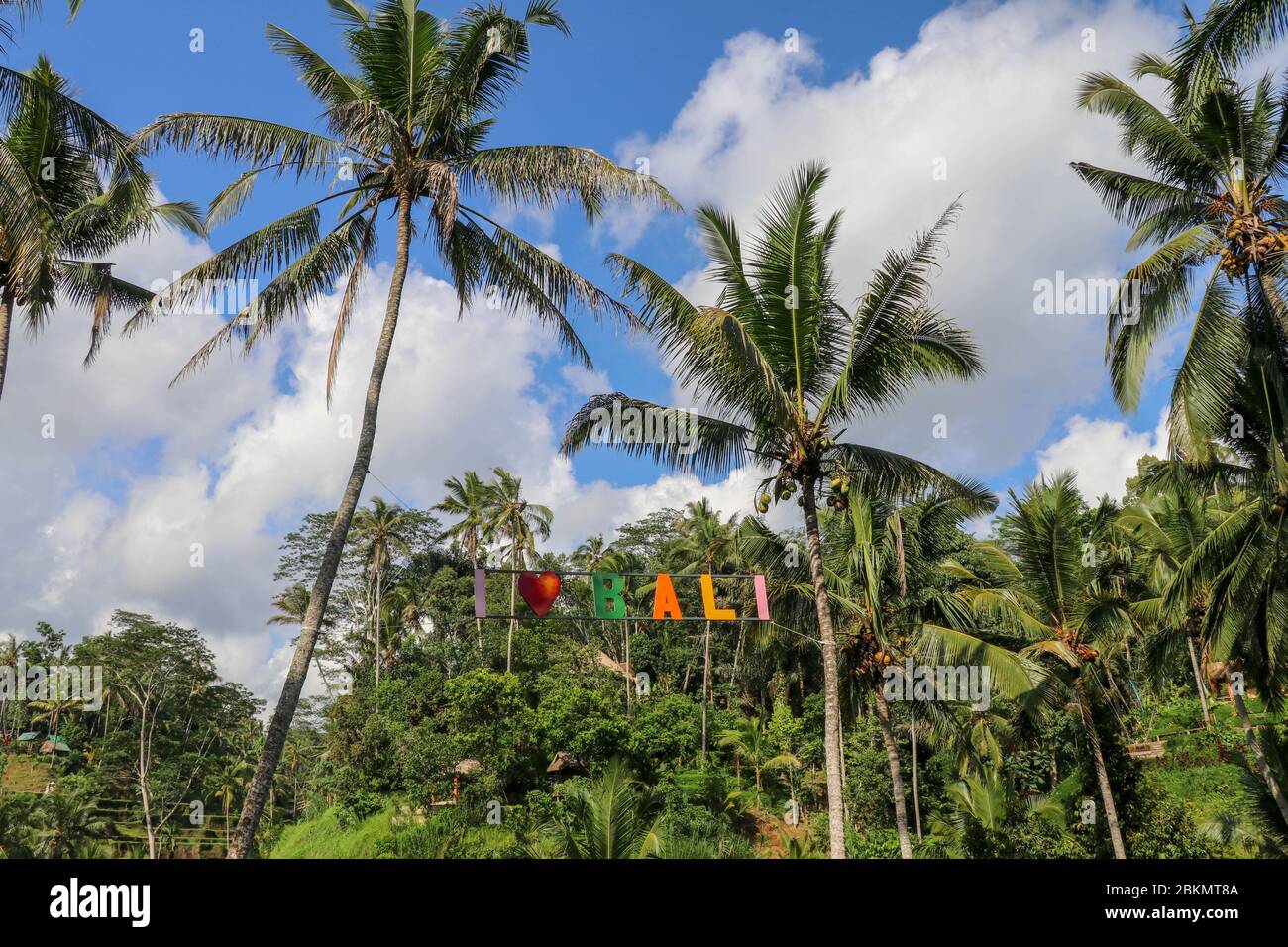 Colorful sign Love near rice fields terraces in the background. Island ...