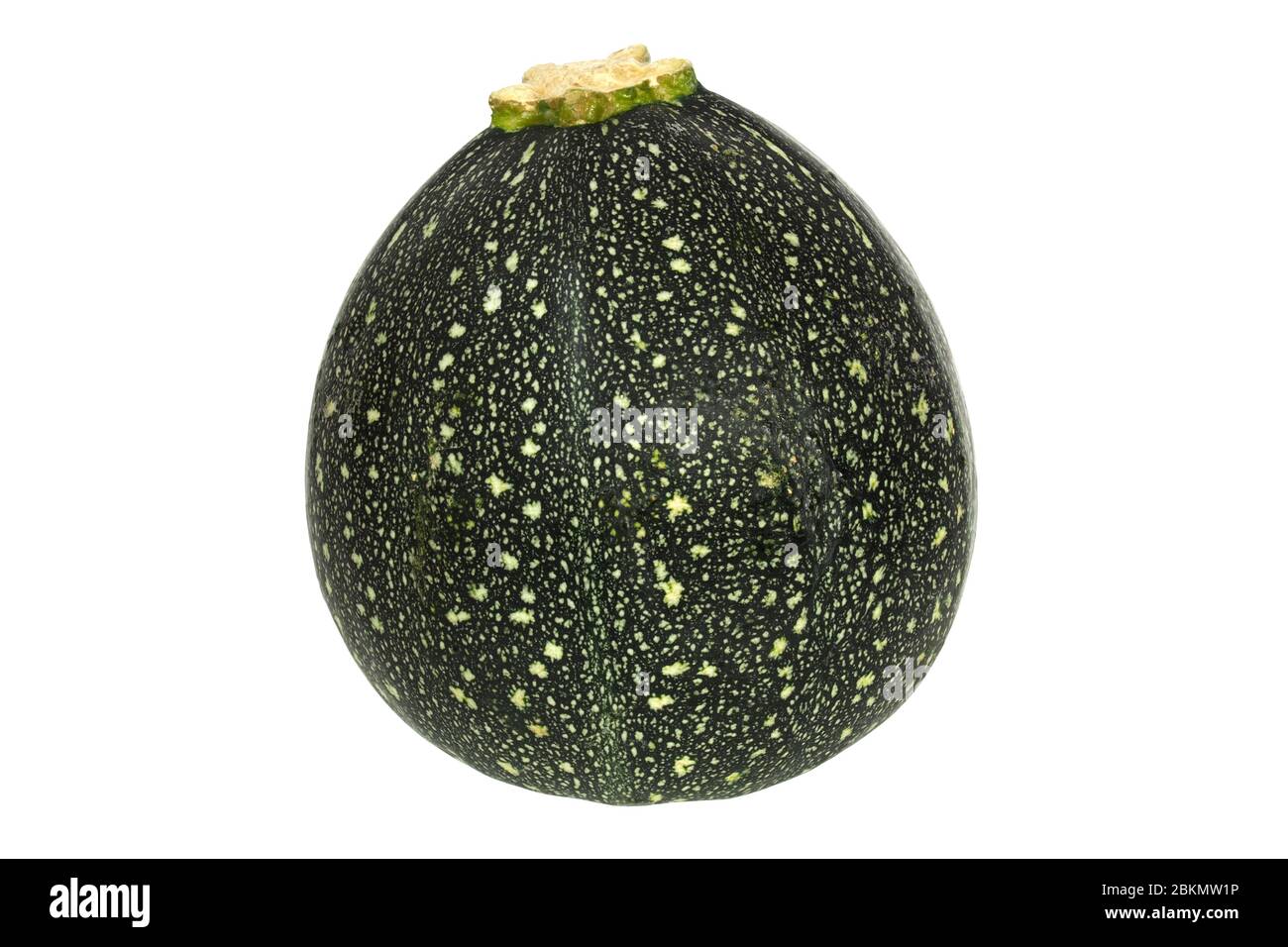 Round zucchini isolated on white background Stock Photo - Alamy