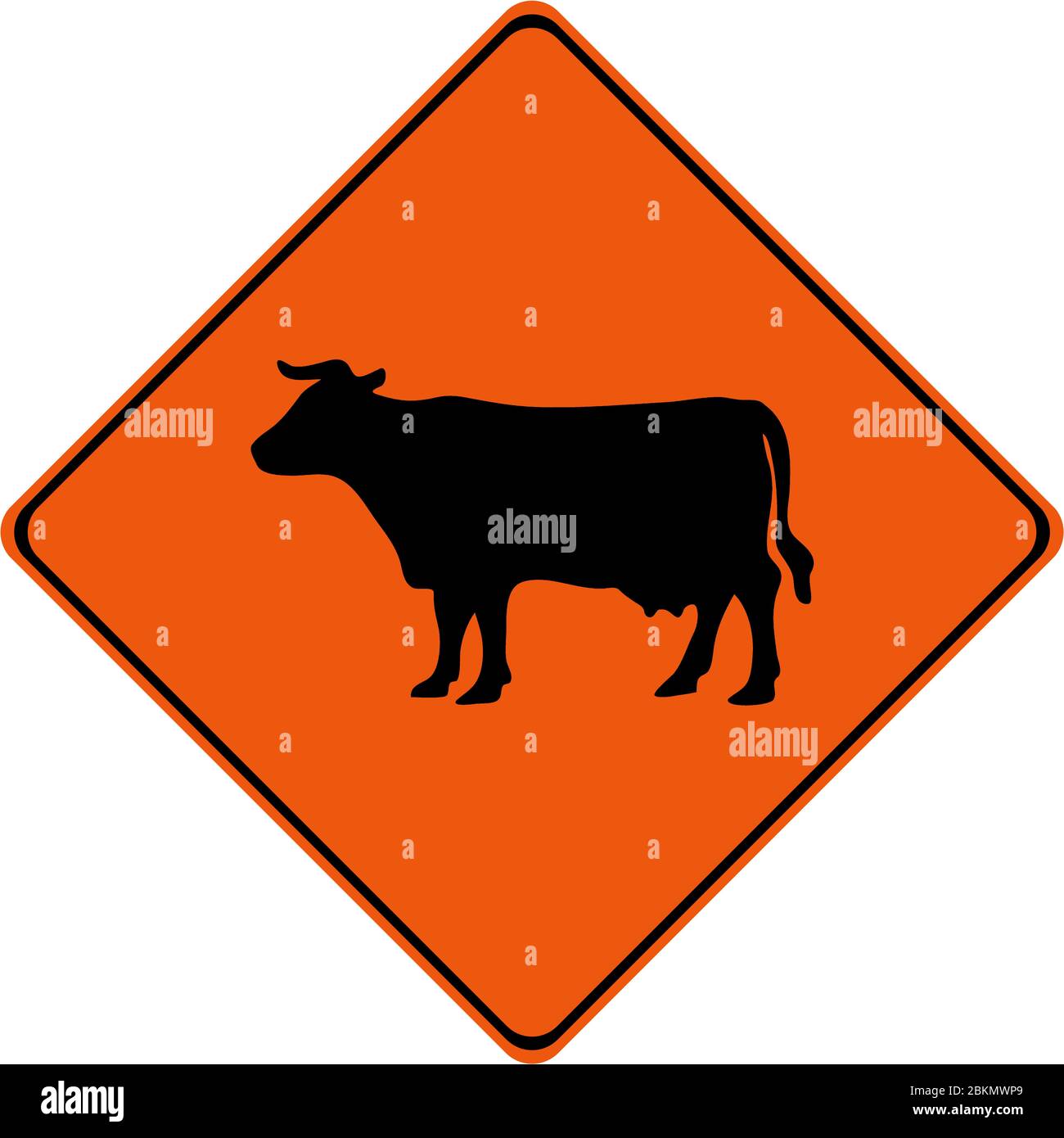 Warning sign with cattle on road symbol Stock Photo - Alamy