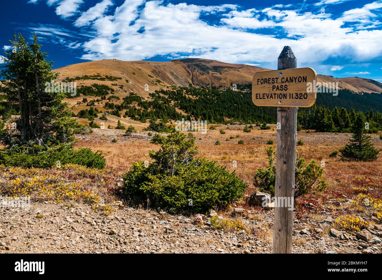 Old ute hi-res stock photography and images - Alamy