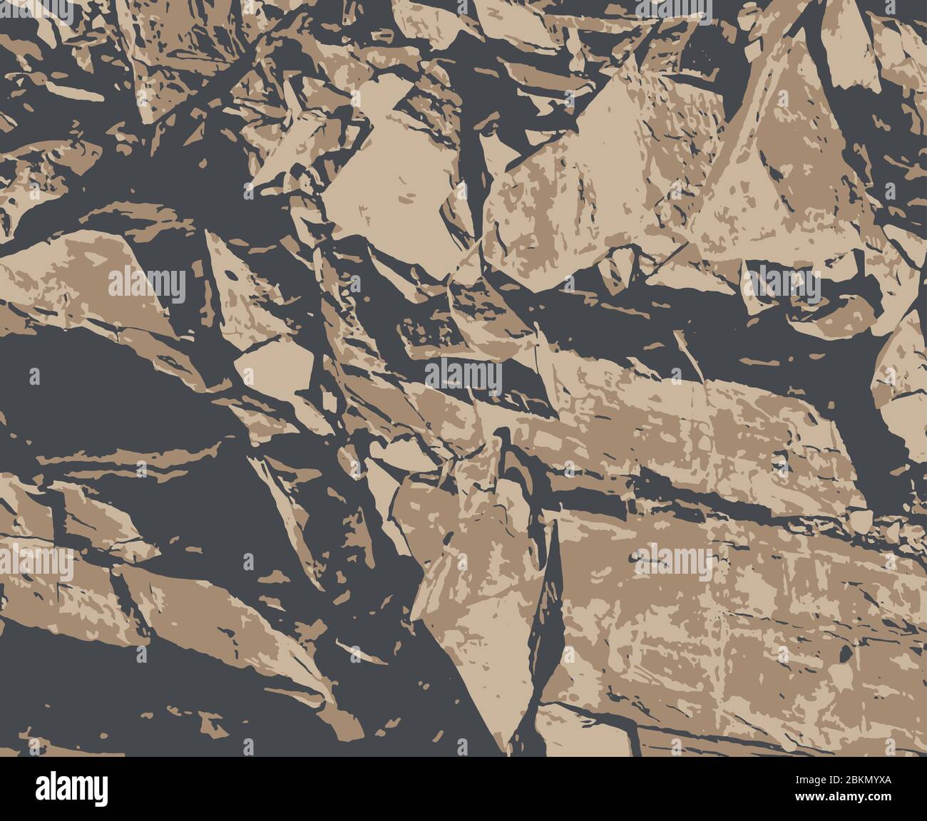 Rock Texture Vector