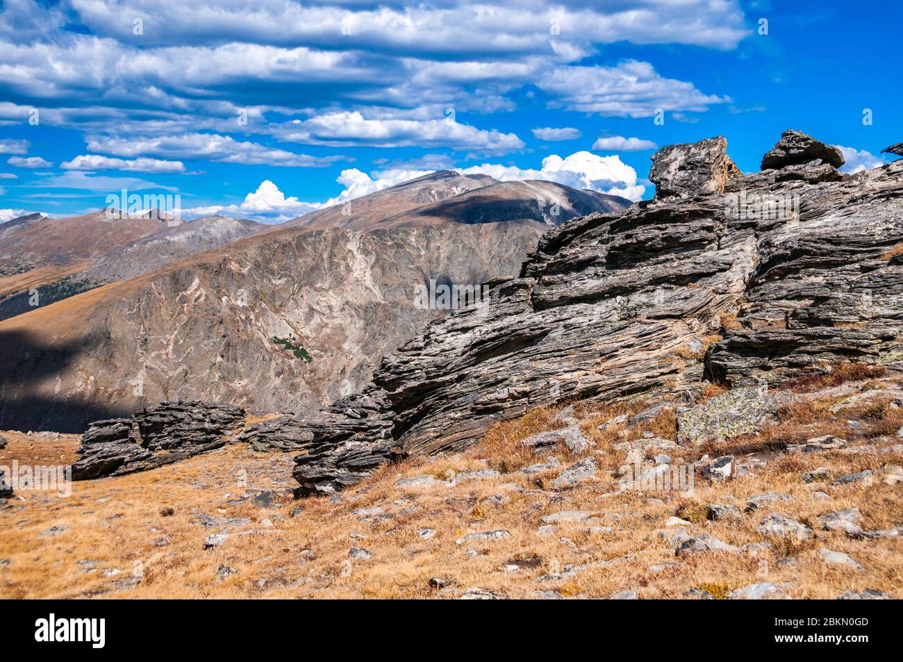 Tundra Communities Trail showing the Mushroom Rocks, Rocky Mountain ...