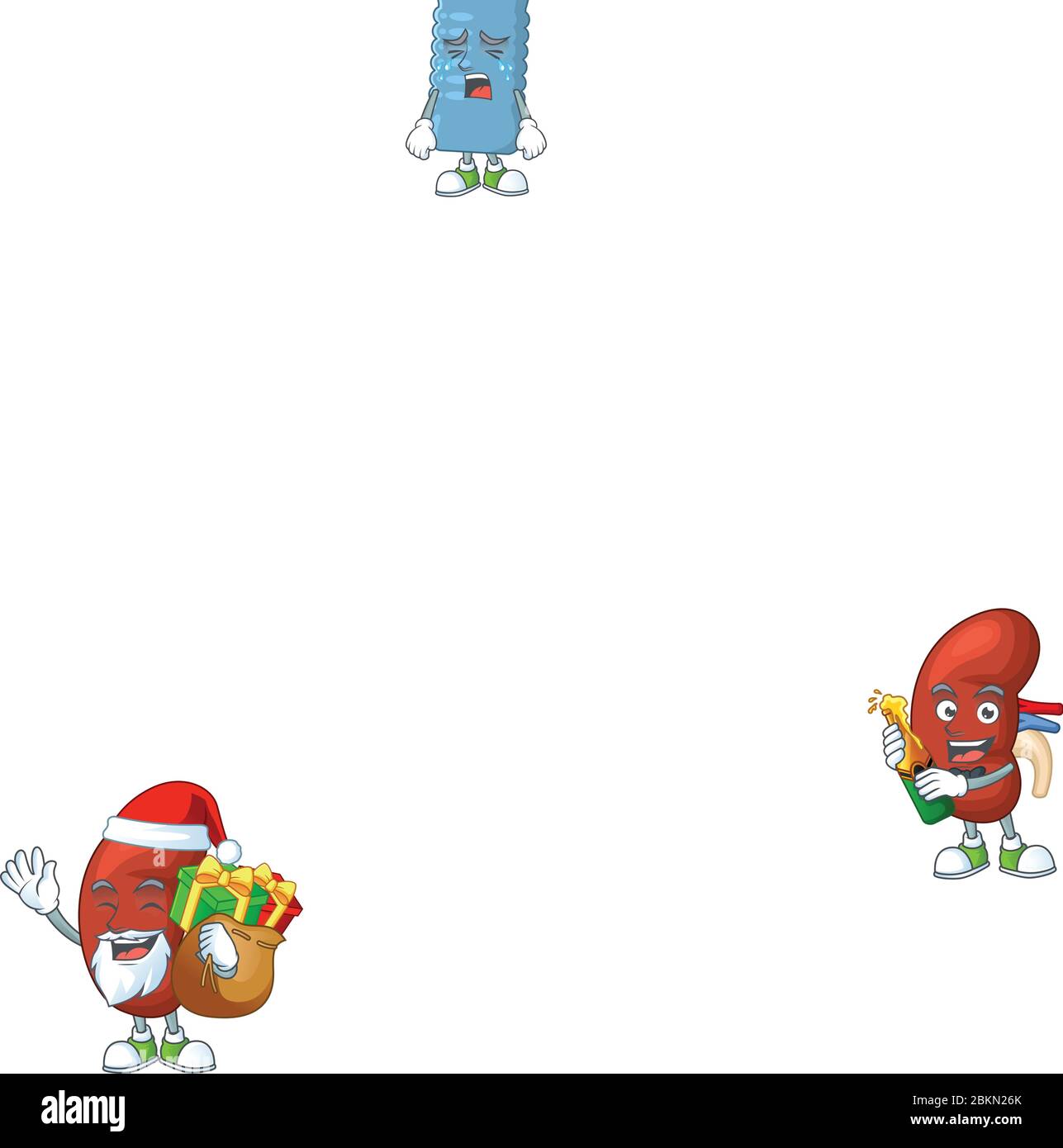 Kidney medulla Stock Vector Images - Alamy