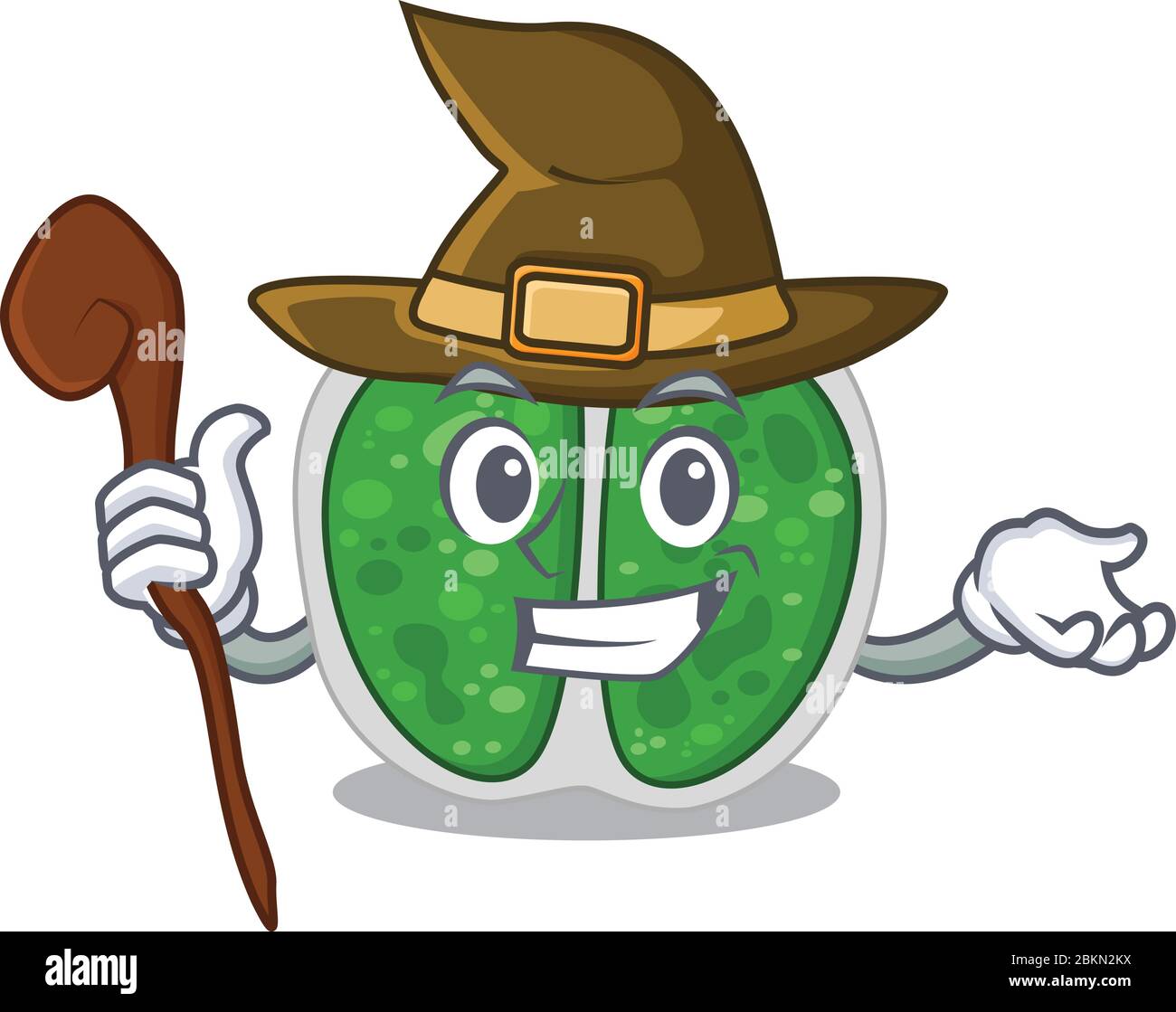 Chroococcales bacteria sneaky and tricky witch cartoon character Stock ...