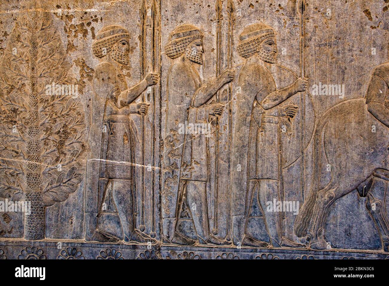 Bas-relief of caravans with offerings at the Apadana Palace, Persepolis ...