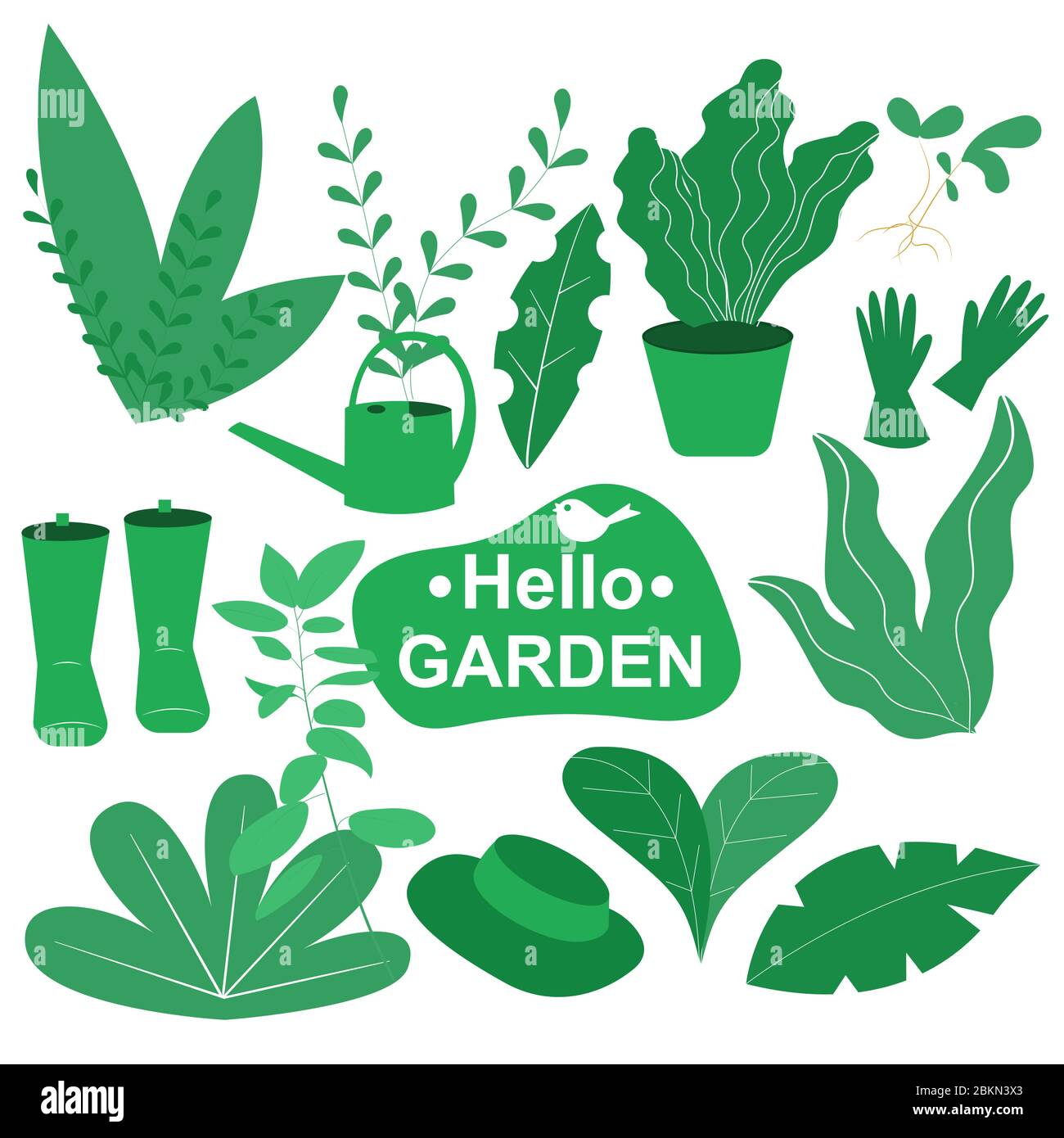 vector set of plants and garden tools. Hello garden Stock Vector Image ...