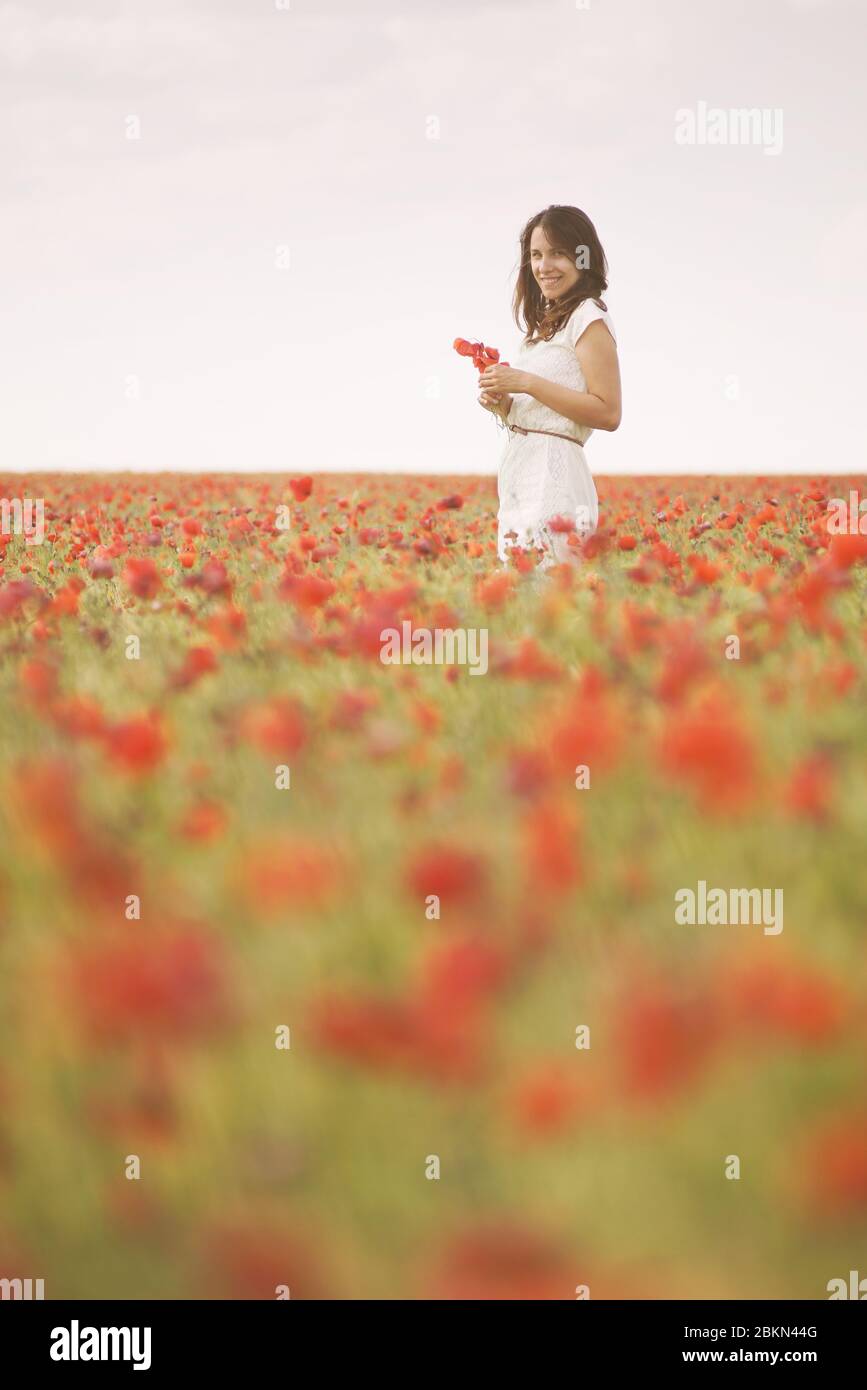 Woman in poppy field hi-res stock photography and images - Alamy