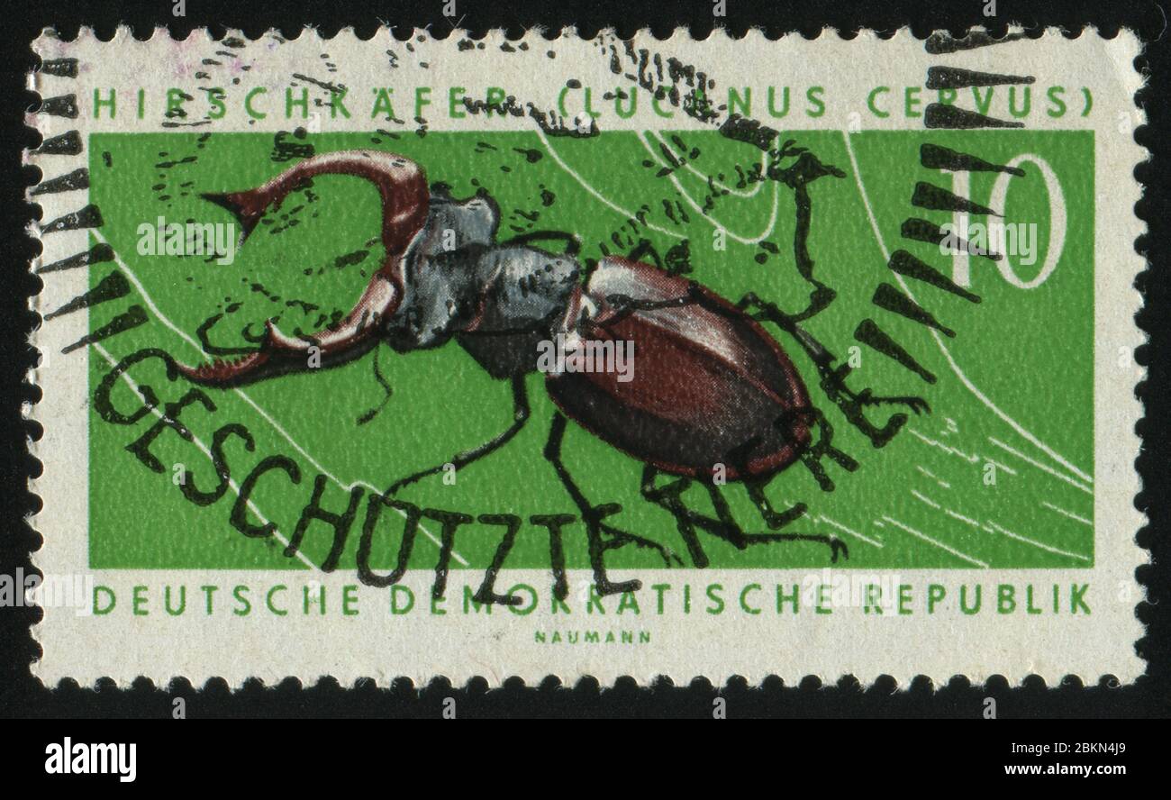 GERMANY- CIRCA 1963: stamp printed by Germany, shows Stag beetle, circa ...