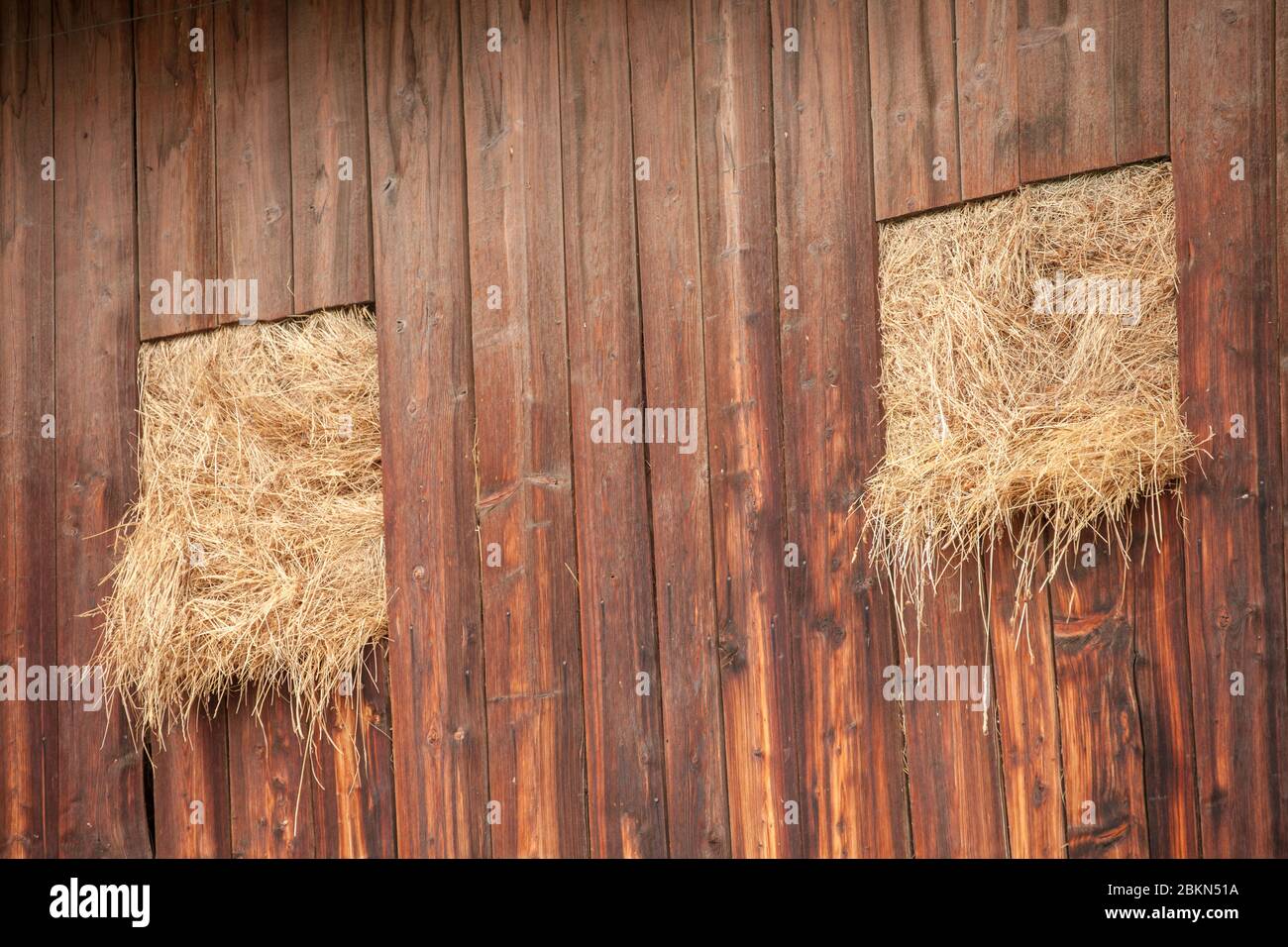 Seasonal hay from an old hayloft in Dolomites Stock Photo - Alamy