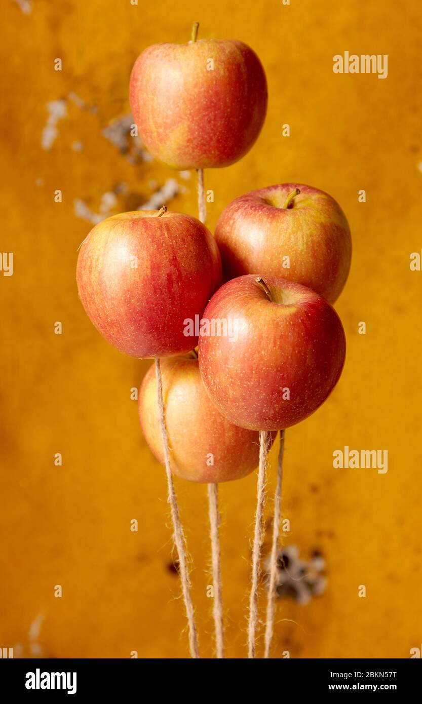 Bunch of apples on jute threads, floating vertically like air balloons ...