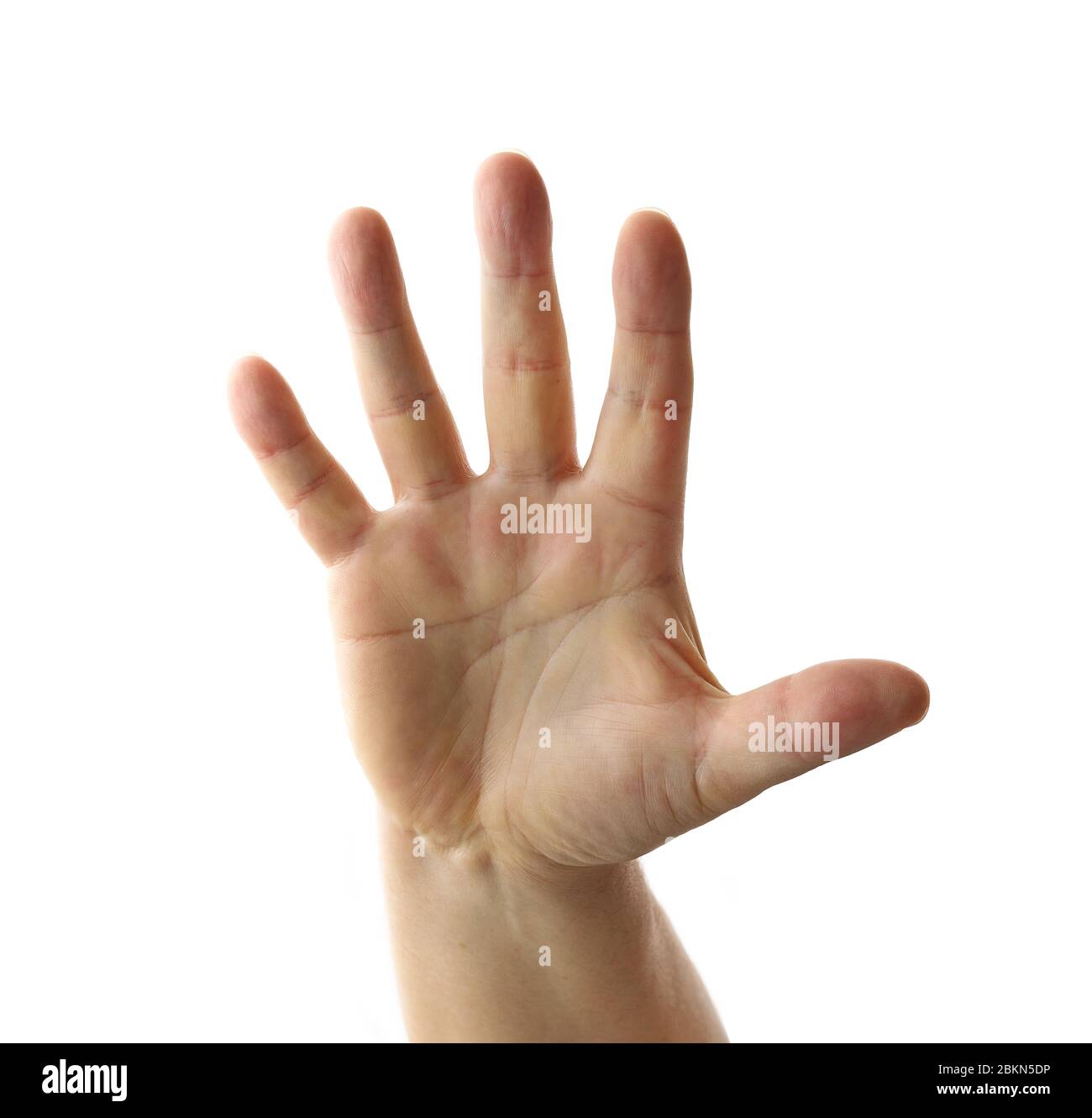 human hand isolated on white background Stock Photo - Alamy