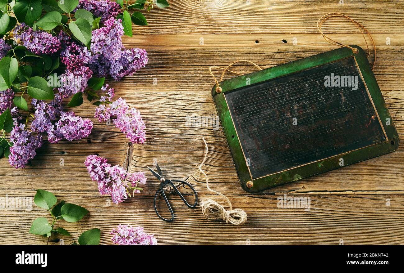 Vintage school slate with copyspace alongside fresh lilac blooms in ...