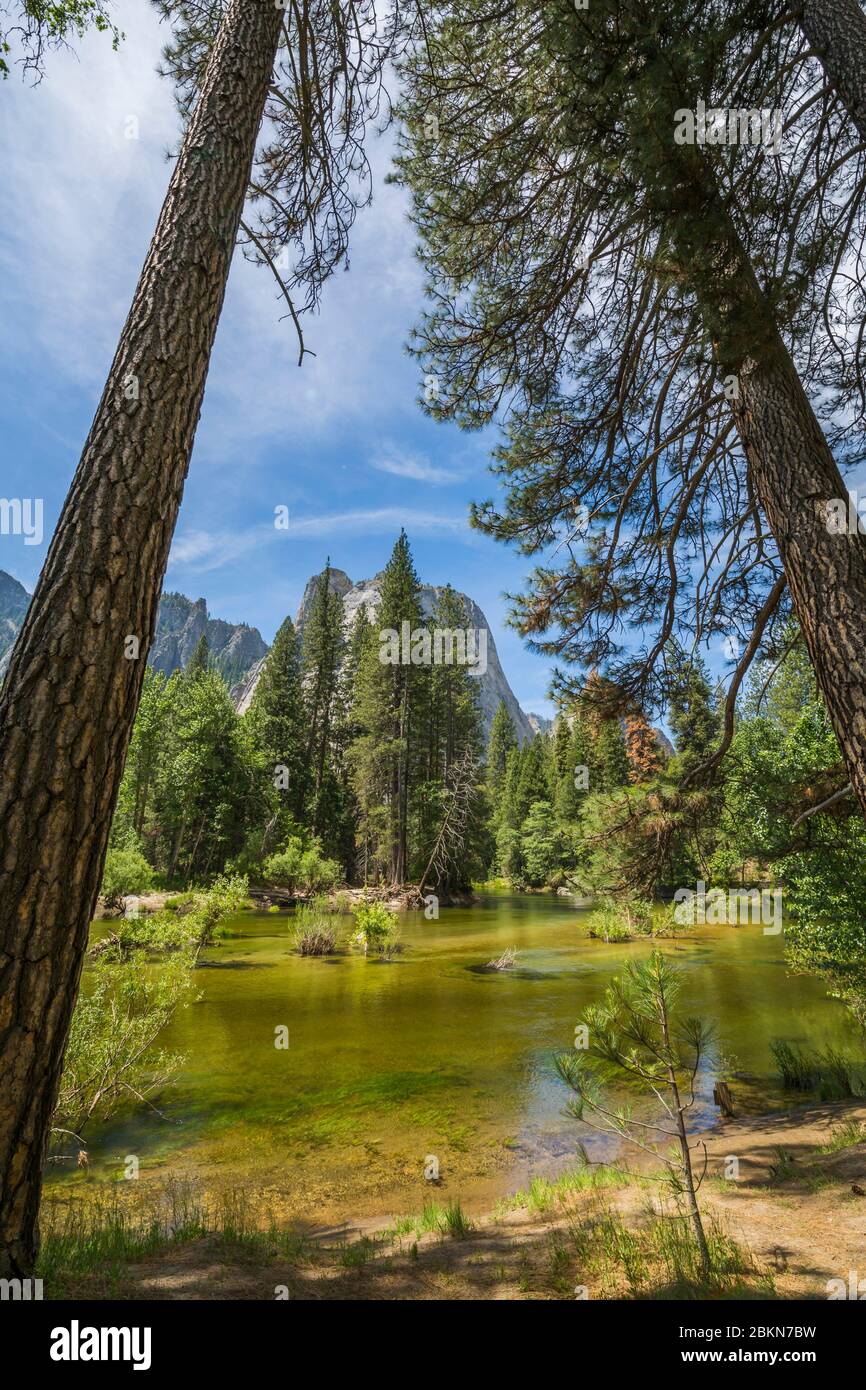 View of Merced River running through Yosemite Valley, Yosemite National ...