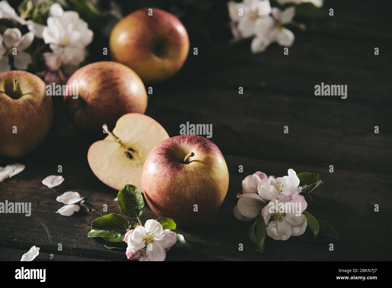 Fresh crispy red apples with spring blossom over a dark wood background ...