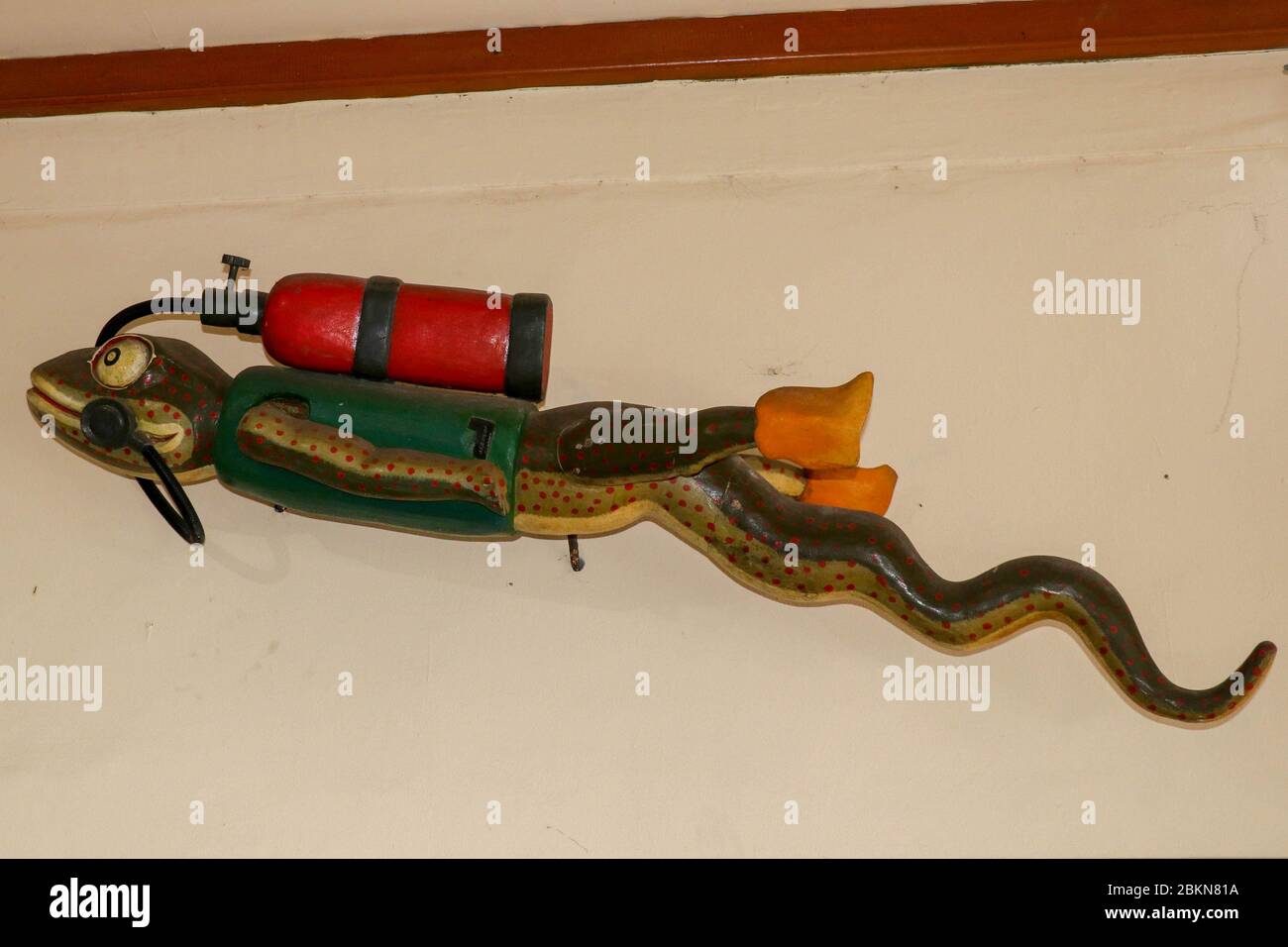 Scuba diving yellow wetsuit hi-res stock photography and images - Alamy