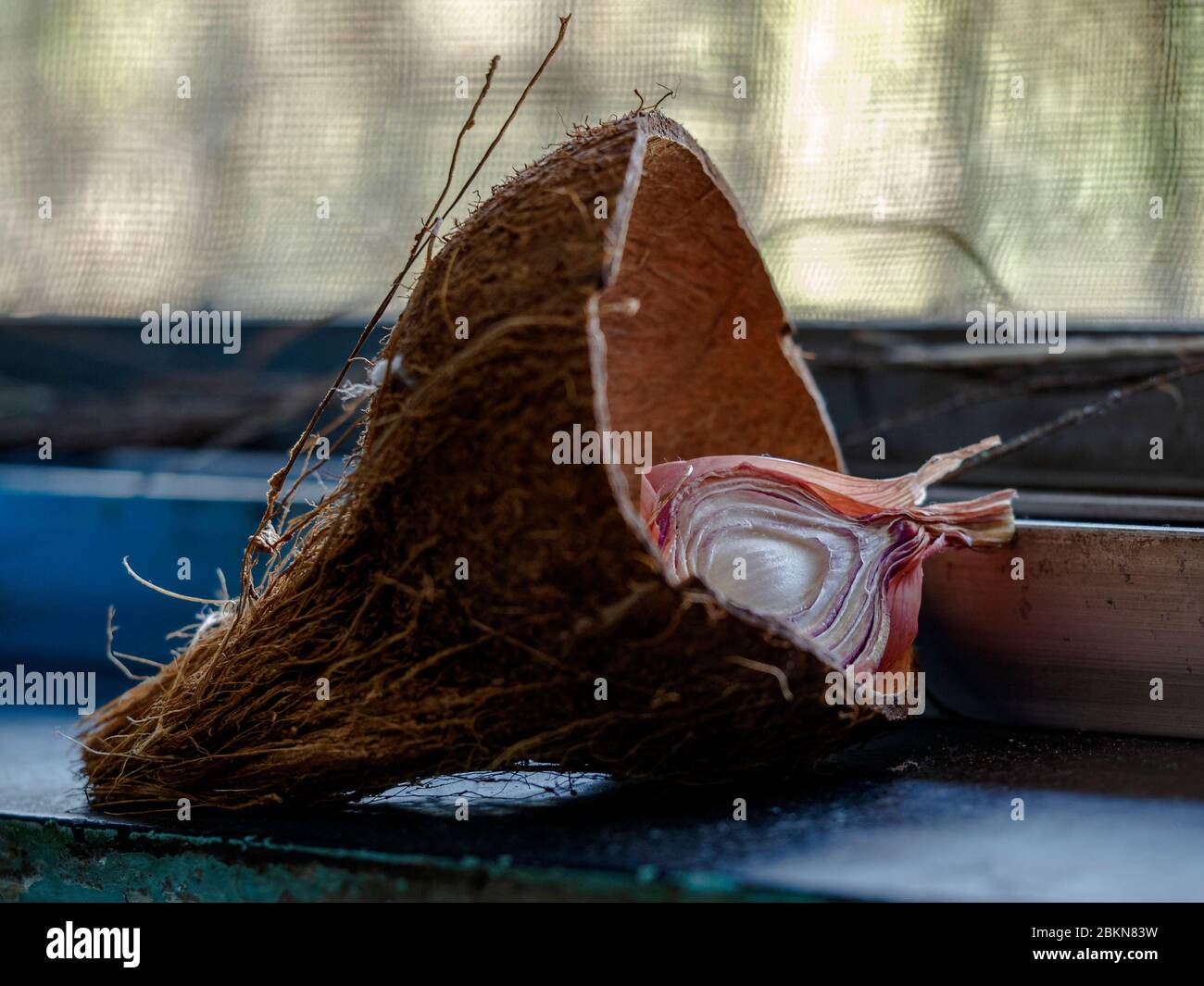 Coconut cross section hi-res stock photography and images - Alamy