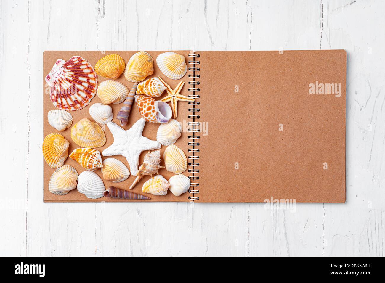 Open notepad with sea shells on white wooden background Stock Photo - Alamy