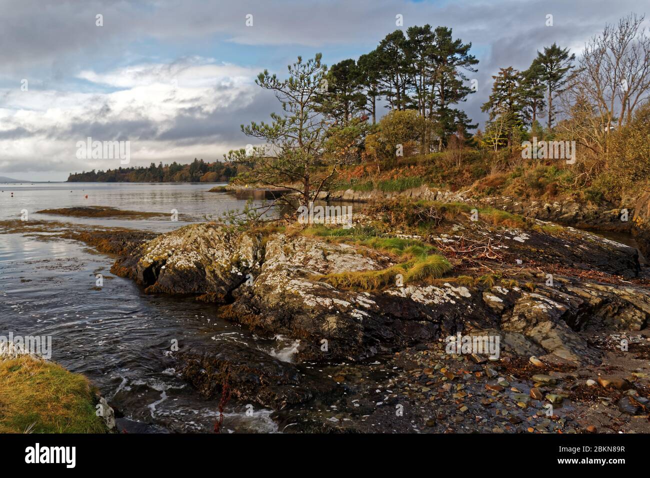 Beautiful Atlantic coastline of County Cork in Ireland Stock Photo - Alamy