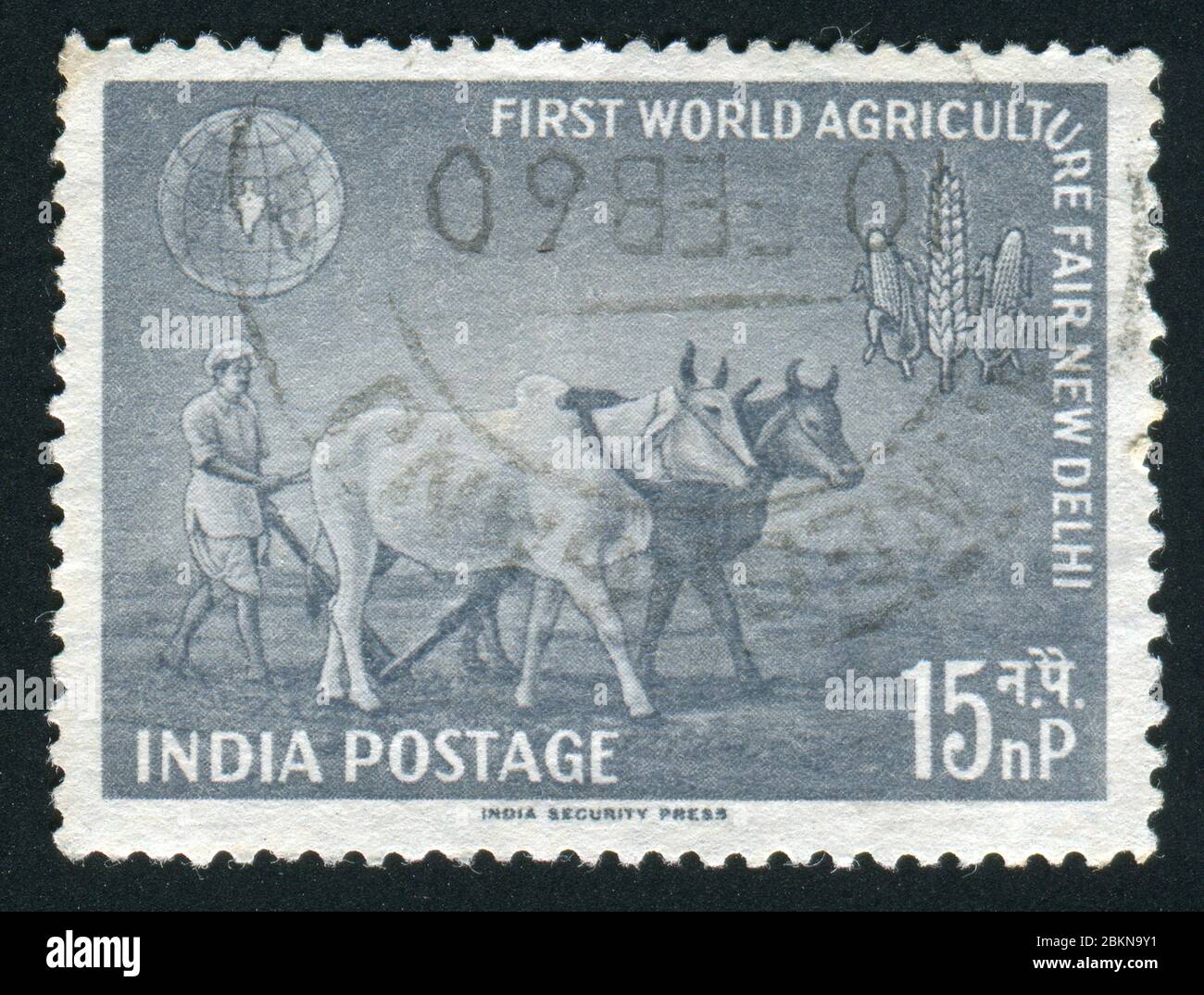 INDIA - CIRCA 1959: Farmer Plowing with Bullocks, circa 1959 Stock ...