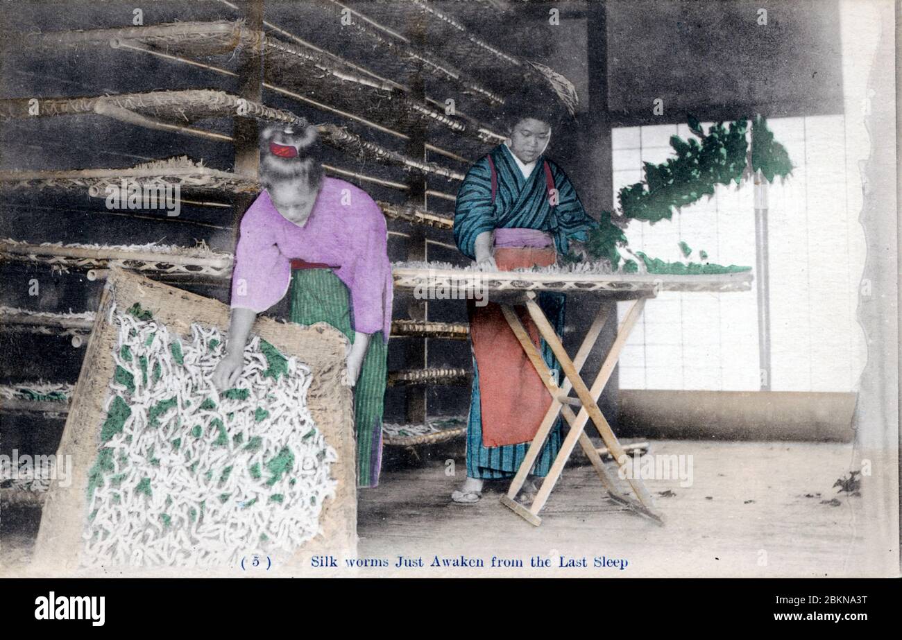 Silk Farming High Resolution Stock Photography and Images - Alamy