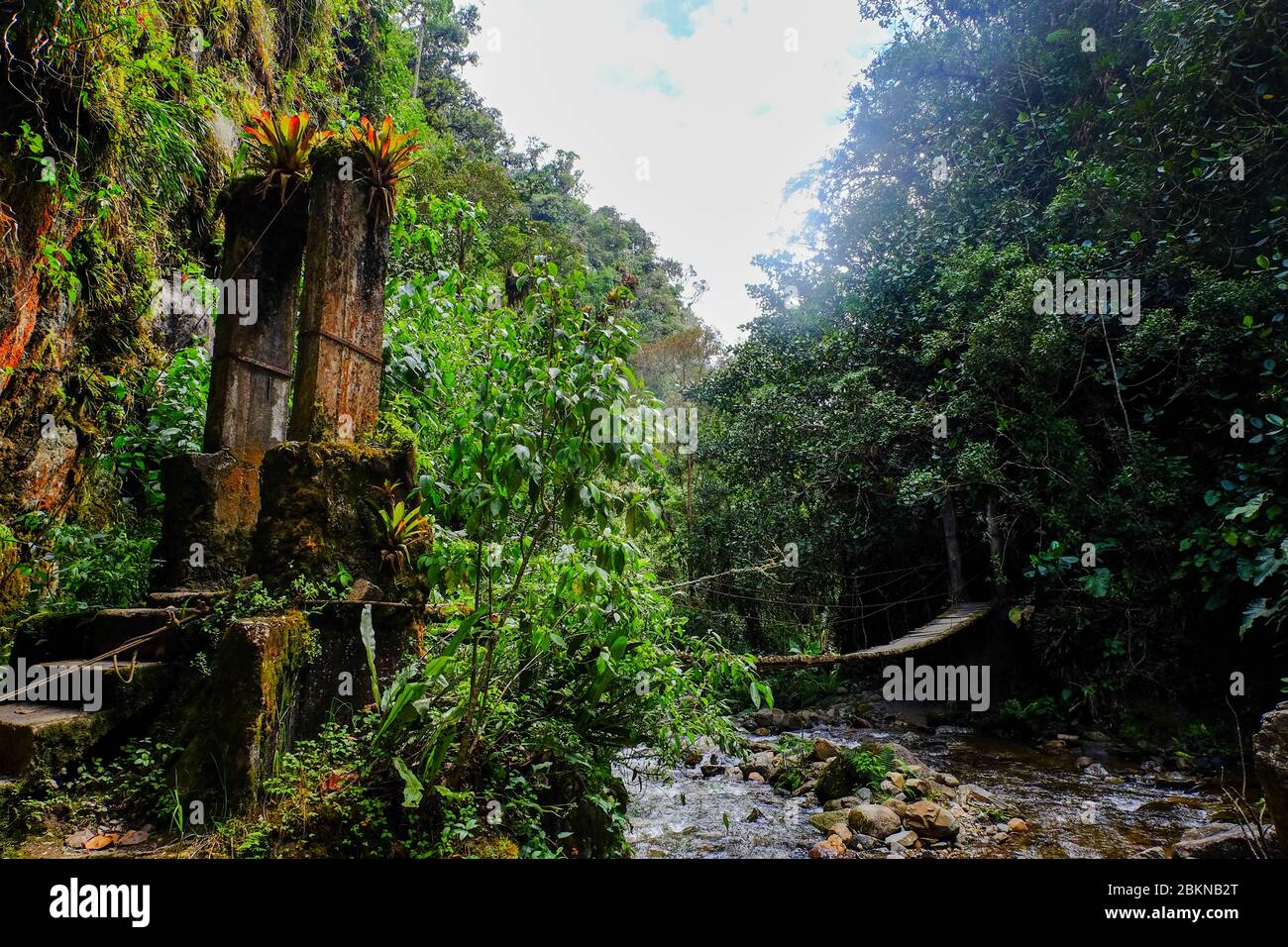 Rope bridge jungle hi-res stock photography and images - Alamy