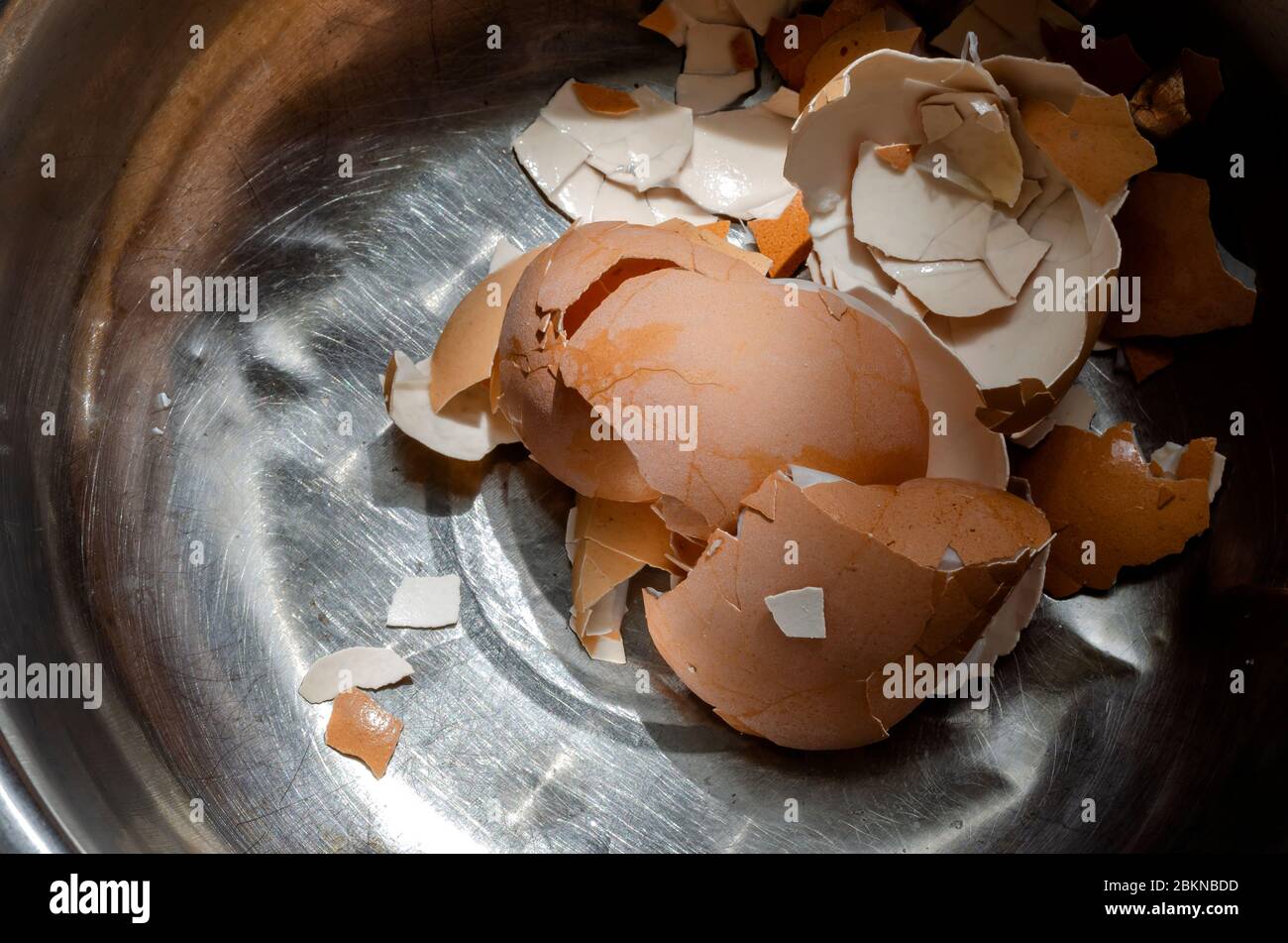 Teeth Crack Shell High Resolution Stock Photography and Images - Alamy