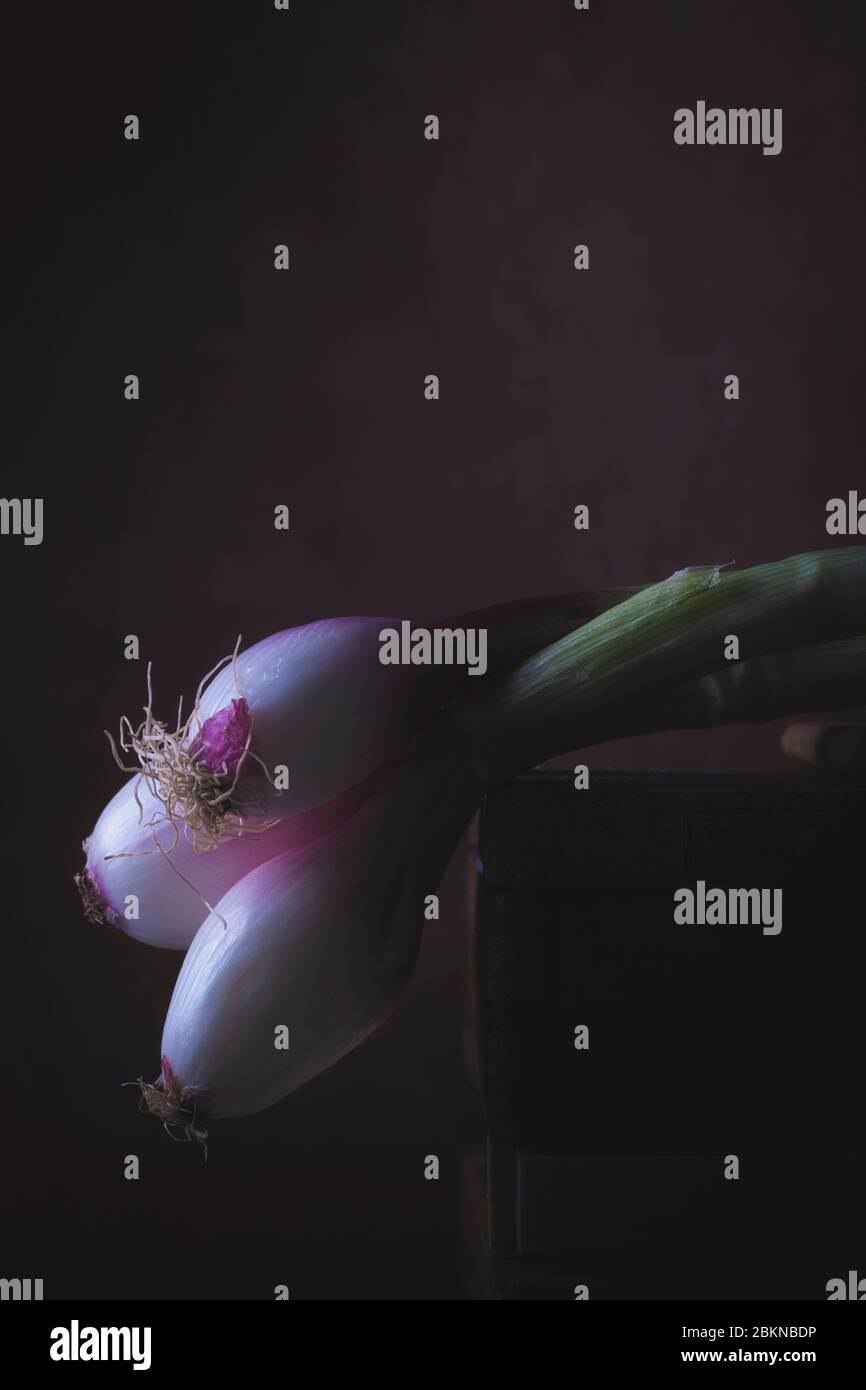 The sweet red onion of tropea hi-res stock photography and images - Alamy