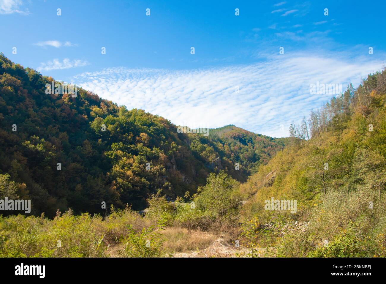 Rhodope Mountain from Bulgaria Stock Photo - Alamy