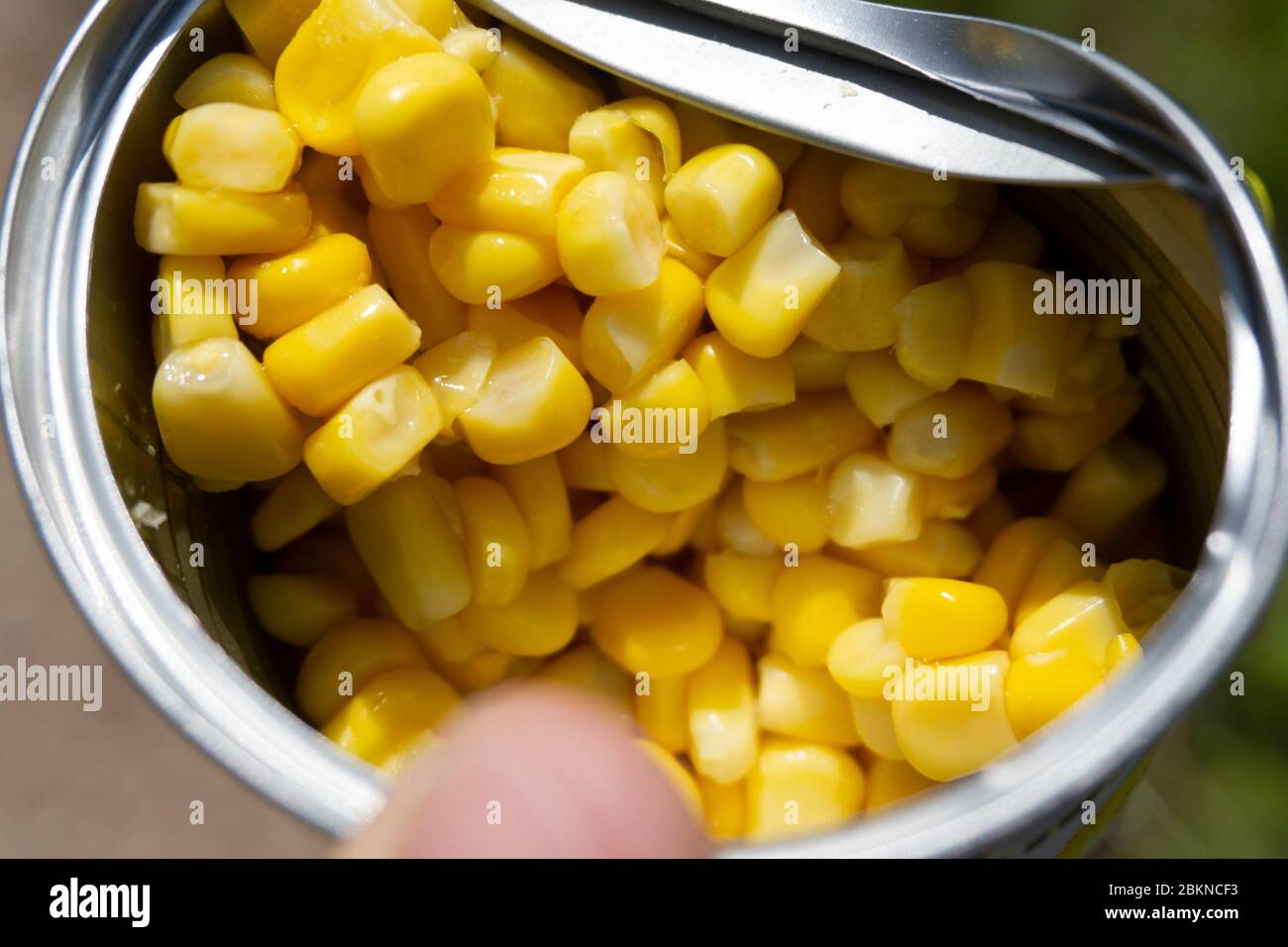 Canned sweet corn organic hi-res stock photography and images - Alamy