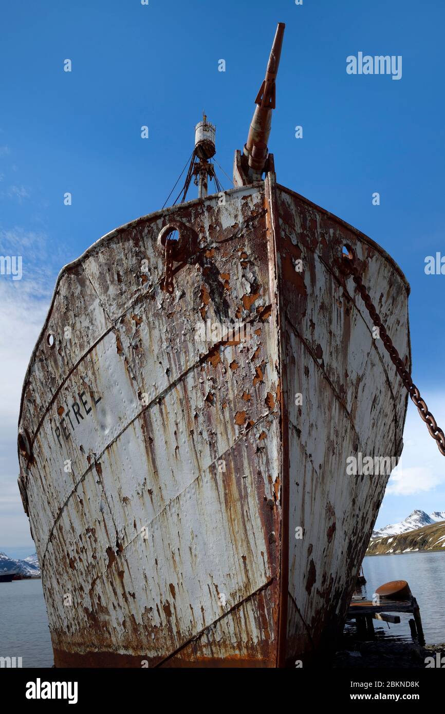 Wreck of the whaler ship Petrel, Former Grytviken whaling station, King ...