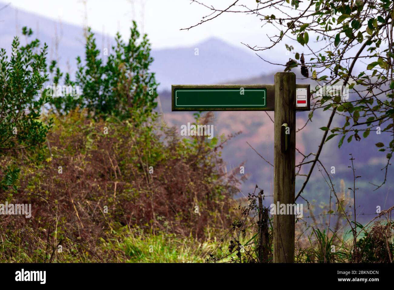 Signal tree hi-res stock photography and images - Alamy
