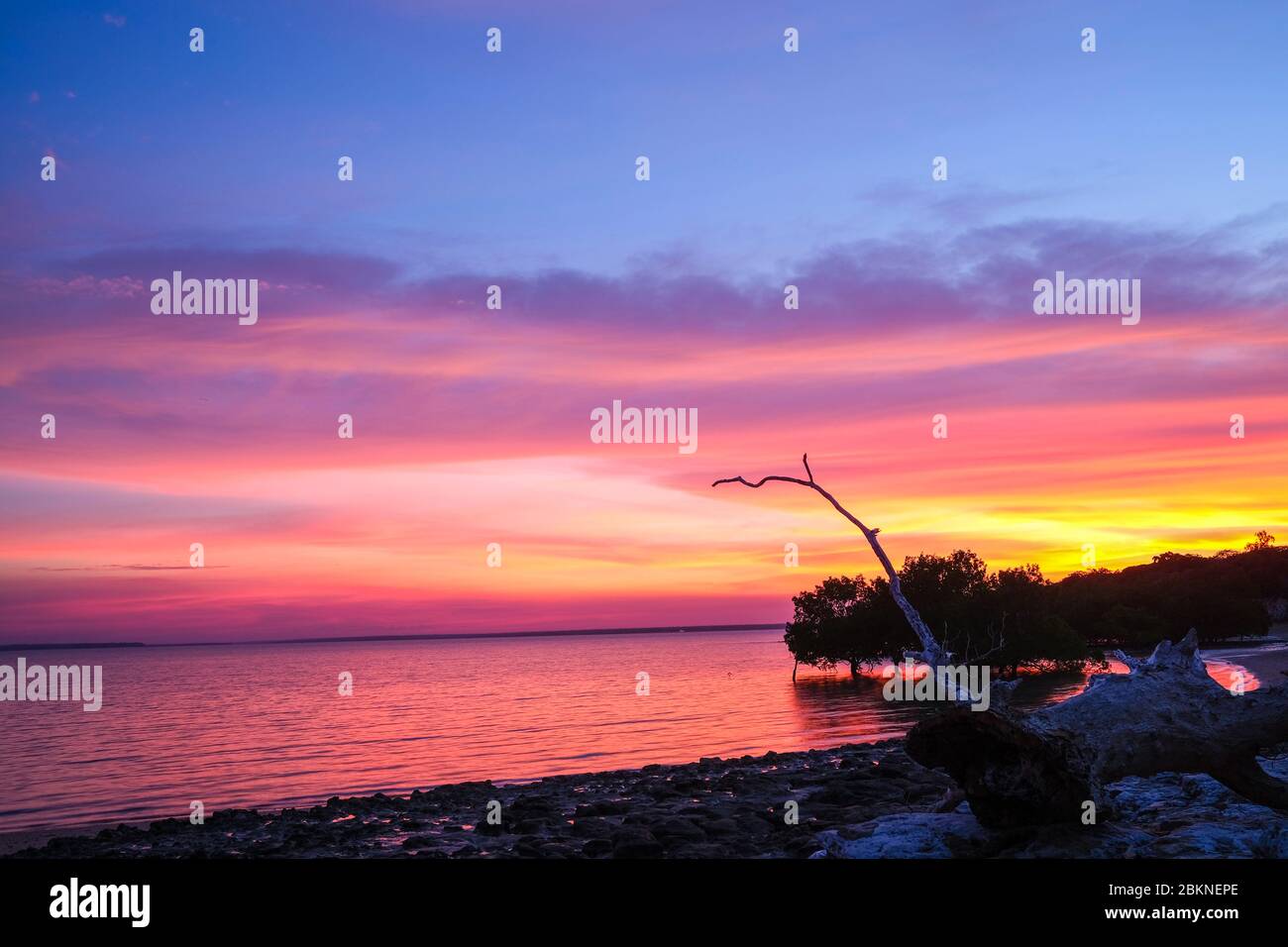 Darwin Beach High Resolution Stock Photography and Images - Alamy