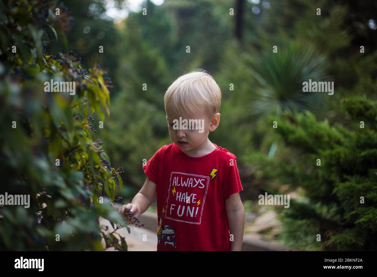 Strawberry blond boy hi-res stock photography and images - Alamy