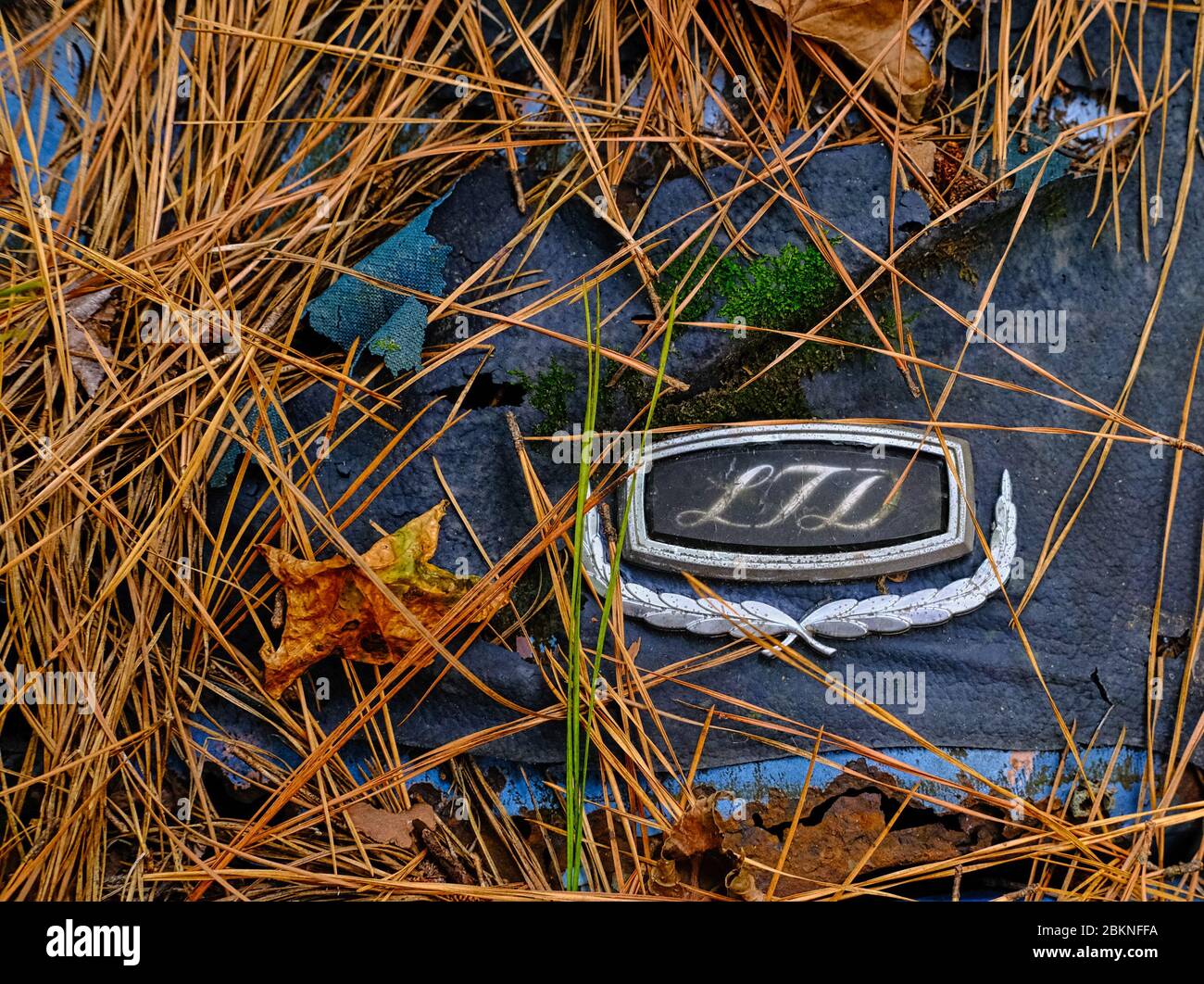Old american car under hi-res stock photography and images - Alamy