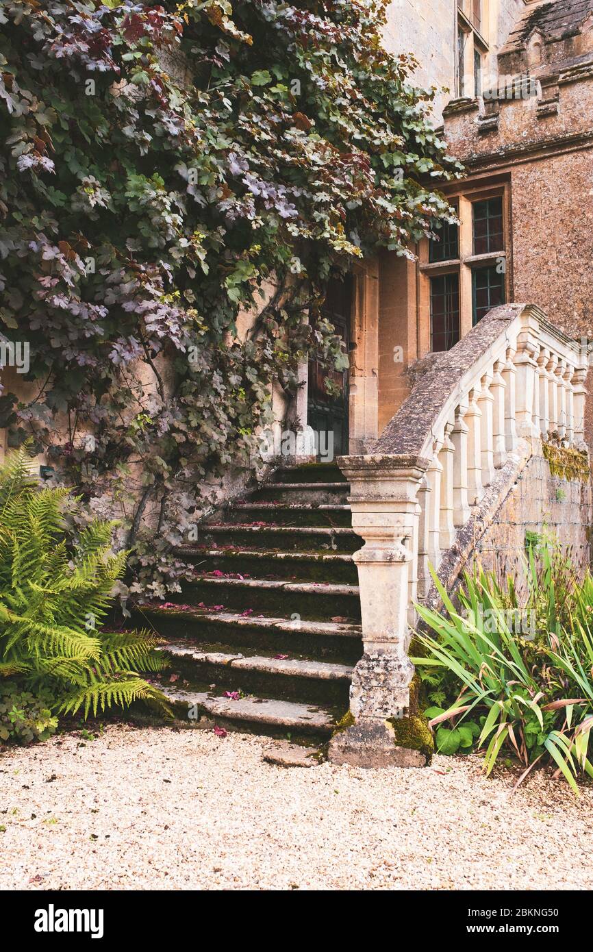 Grand entrance steps to a side door at Sudeley Castle, Gloucestershire ...