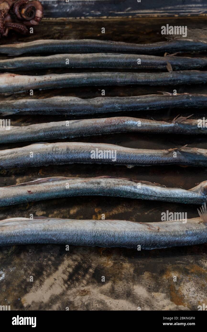 Fresh raw fish on grill slate, during seafood festival, street food ...