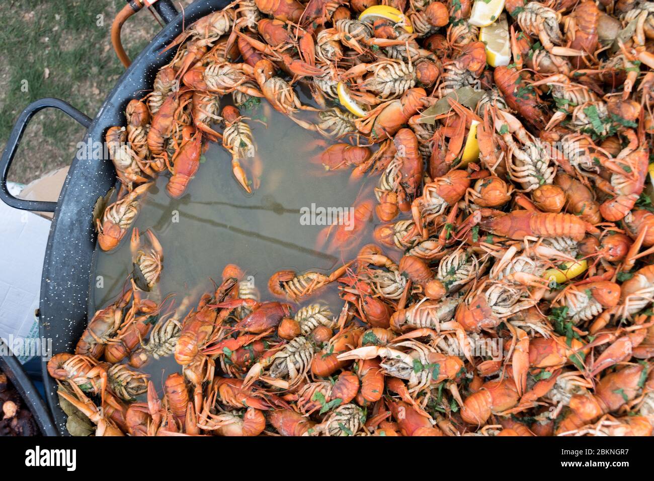 Close up image of freshly boiled crayfish on outdoor outside cooking ...