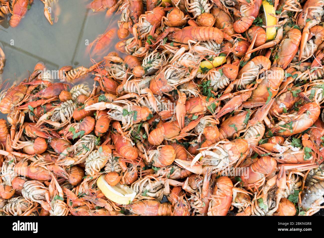 Close up image of freshly boiled crayfish on outdoor outside cooking ...