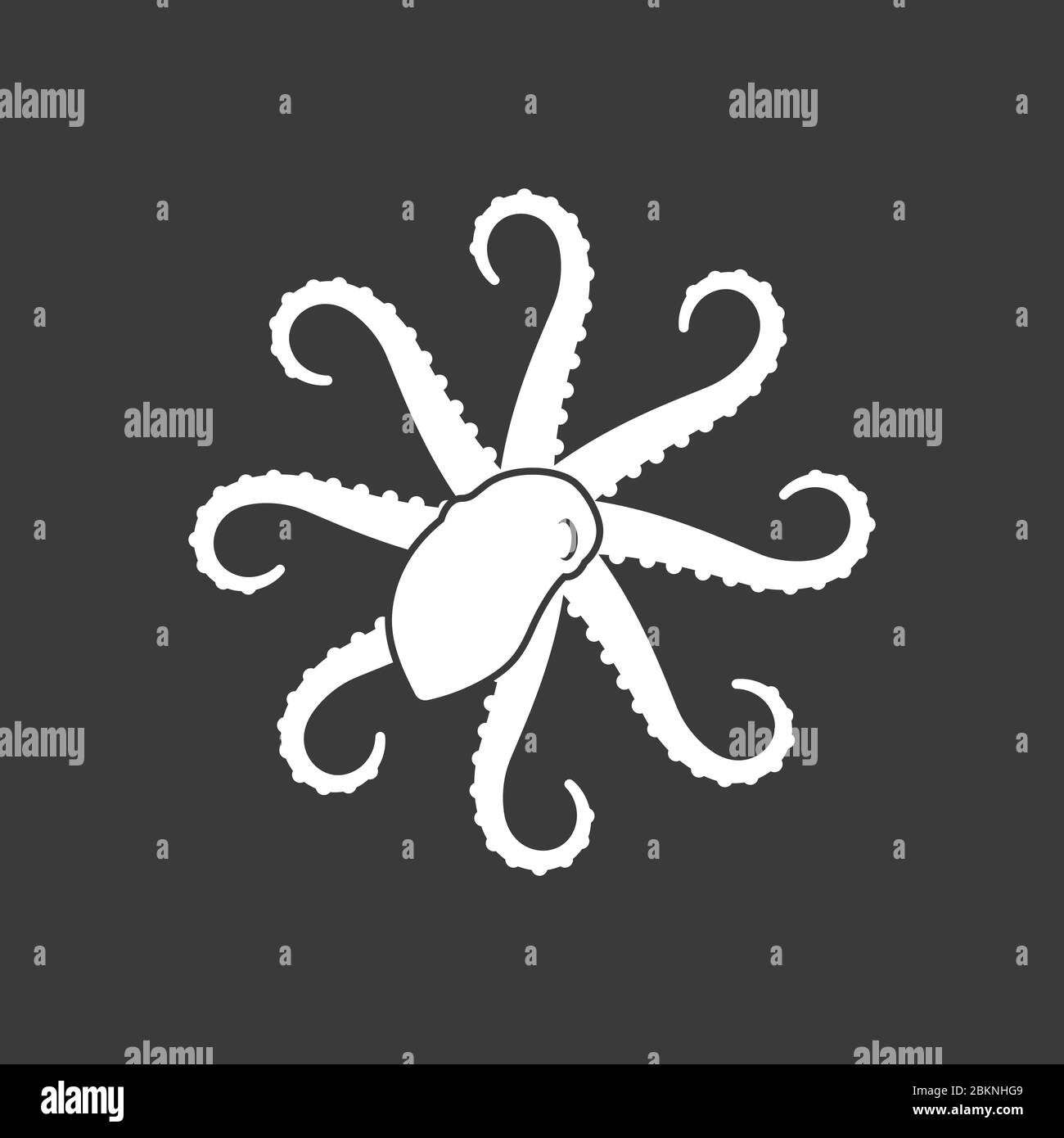 Octopus icon. Vector of an octopus design on white background. Aquatic ...
