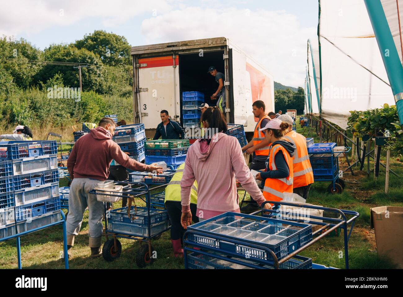 Uk farm workers hi-res stock photography and images - Alamy