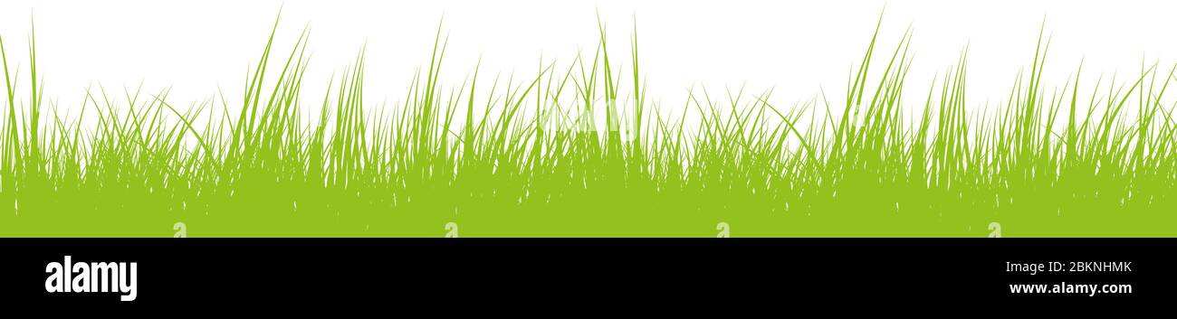 fresh green grass or lawn isolated on white background vector ...