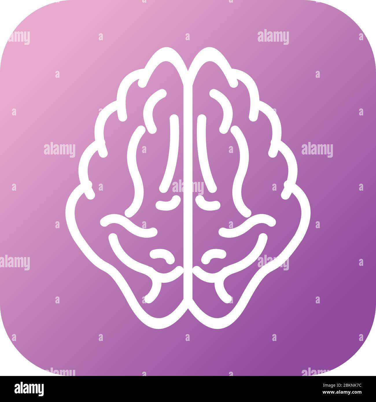 Beautiful Brain vector line icon Stock Vector Image & Art - Alamy