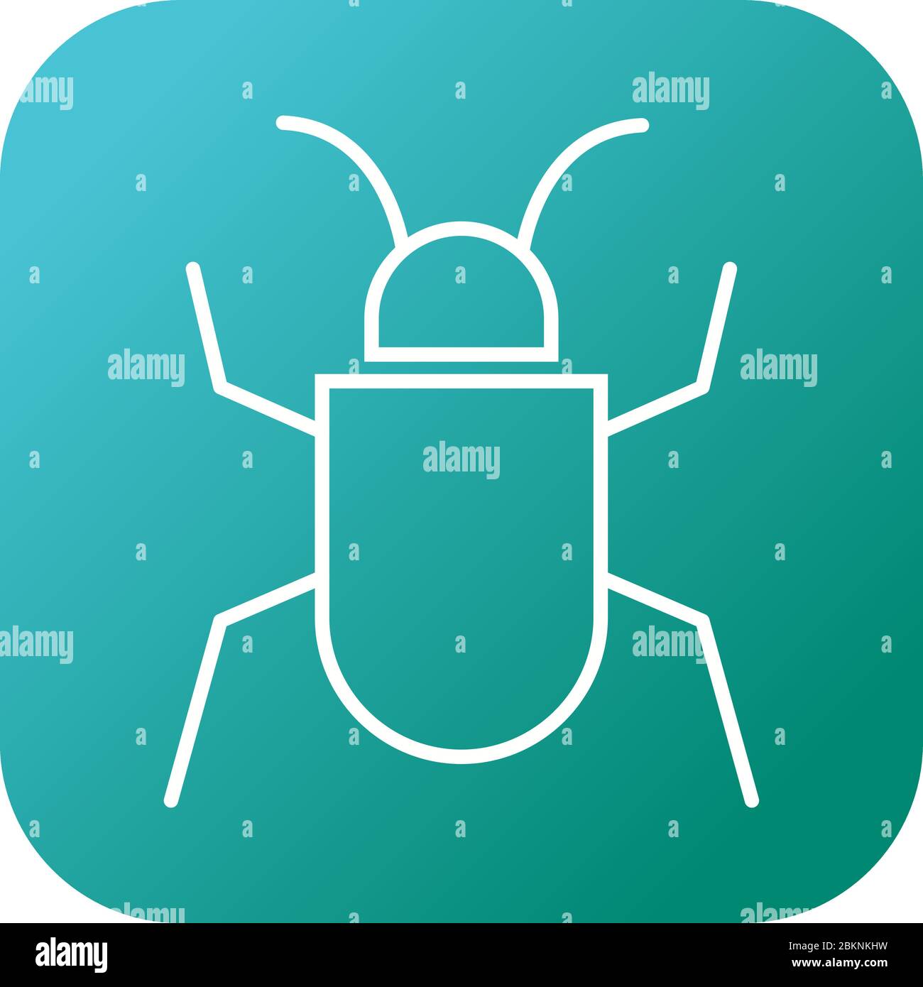 Beautiful Bug vector line icon Stock Vector Image & Art - Alamy