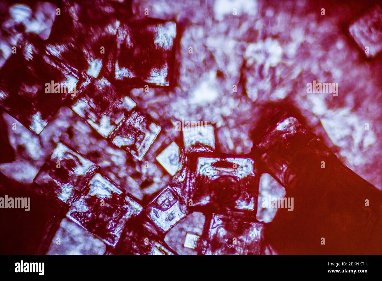 Crystal salt crystals microscope hi-res stock photography and images ...