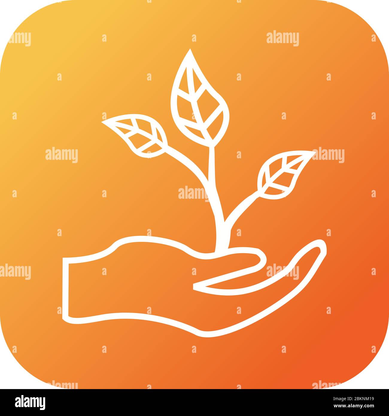 Beautiful Hope vector line icon Stock Vector Image & Art - Alamy