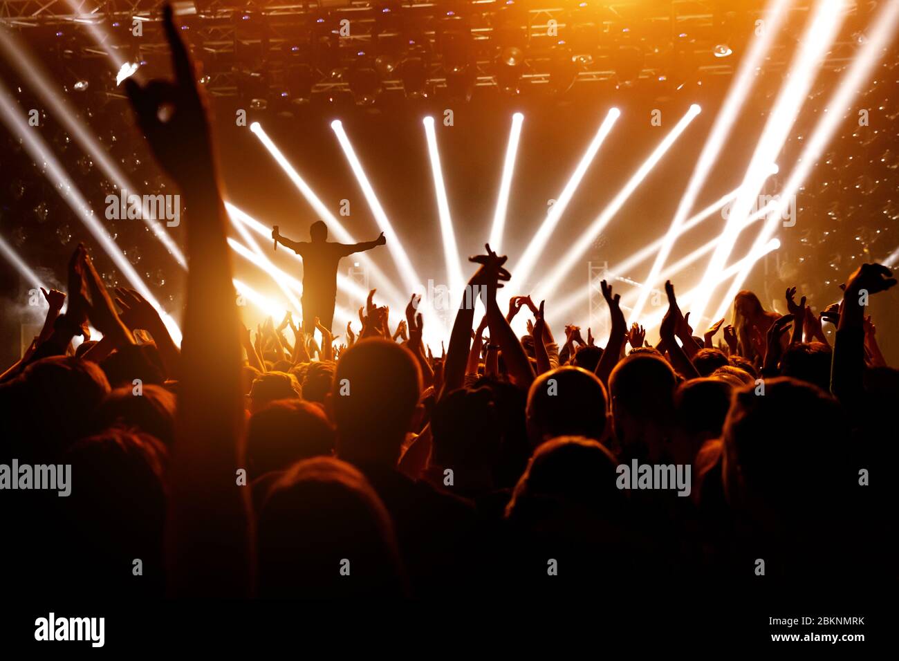 Artist on stage. Full hall watching the music show Stock Photo - Alamy