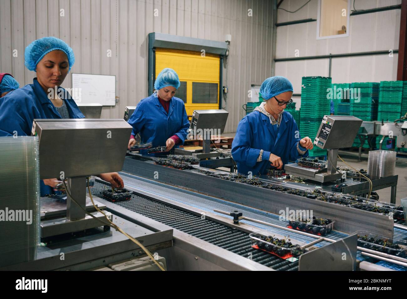 Factory Conveyor Belt Workers High Resolution Stock Photography and ...