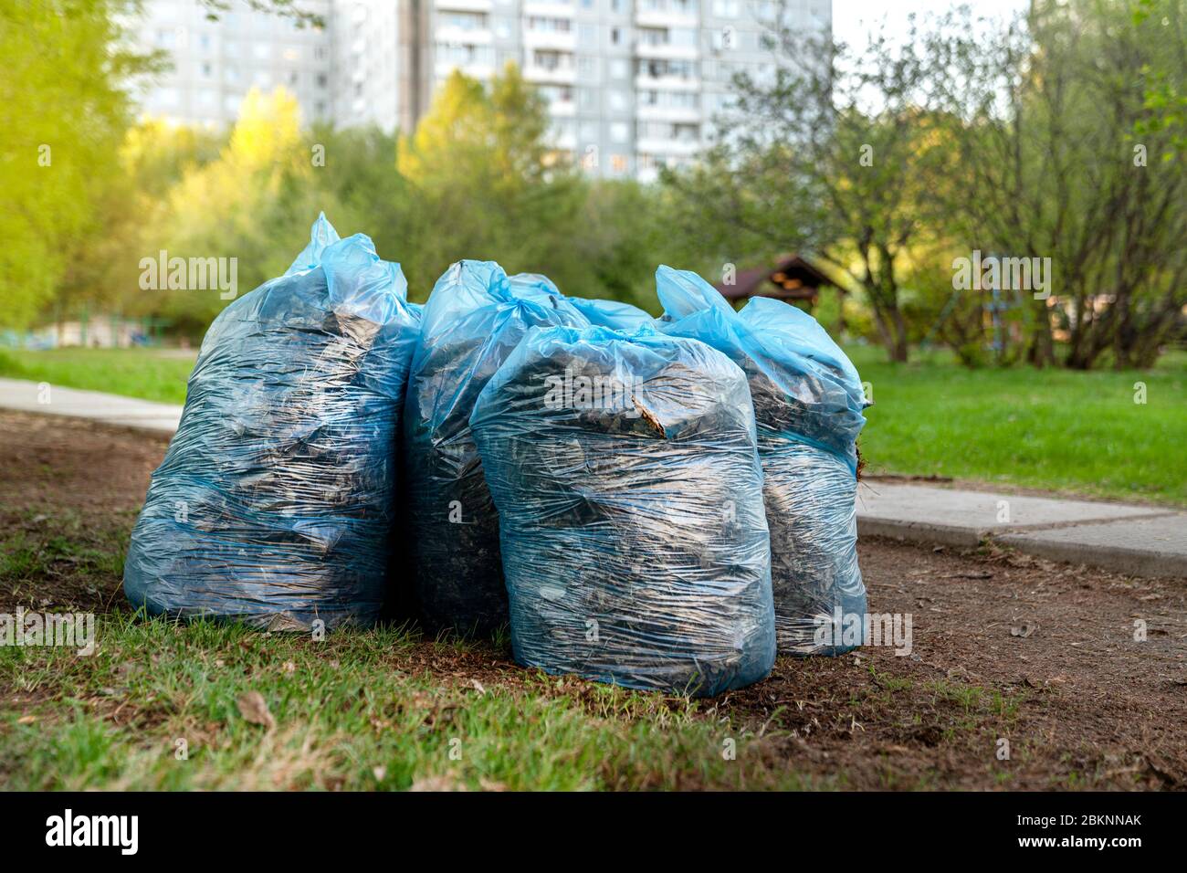 bags of garbage, leaves, and old grass stand on the green lawn in the ...
