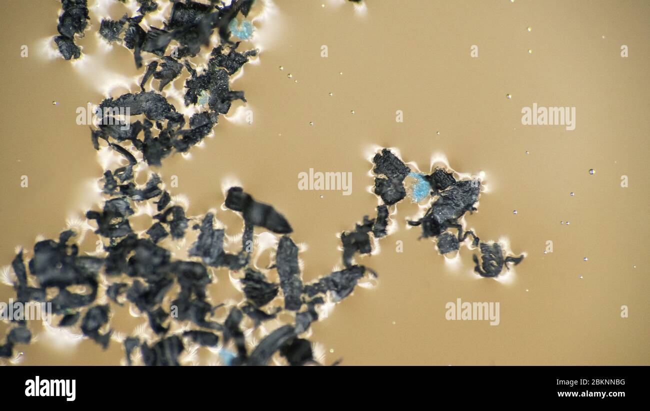 Microparticles of plastic in aquatic environment. Macro shooting of ...